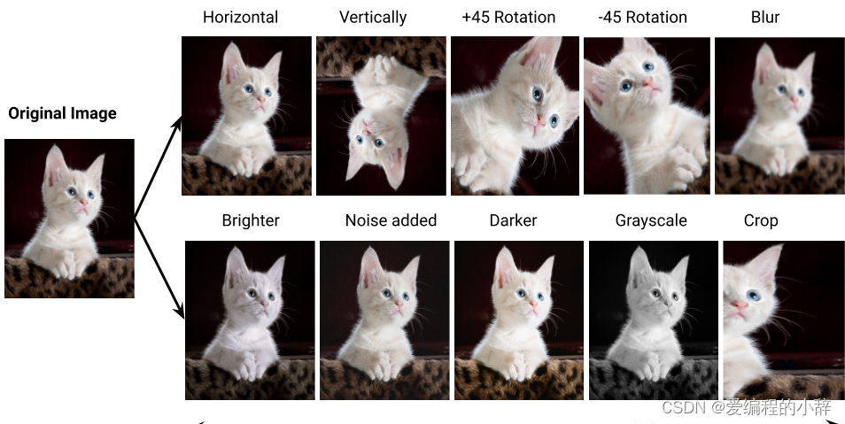 用于数据增强的十个Python库_augmentor下载-CSDN博客