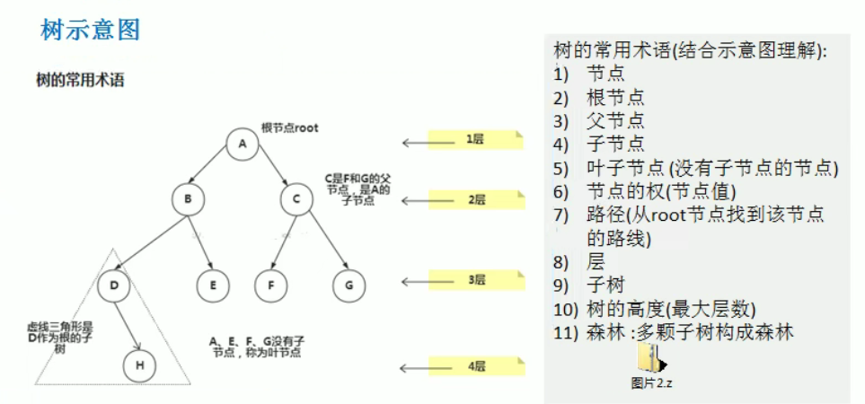 树（tree）_树 csdn-CSDN博客