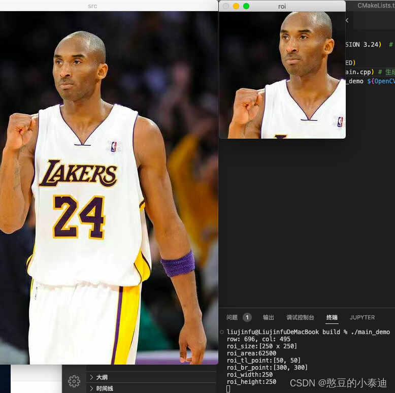 Opencvc笔记 利用rect类生成roi区域裁剪图像c Opencv Rect Csdn博客