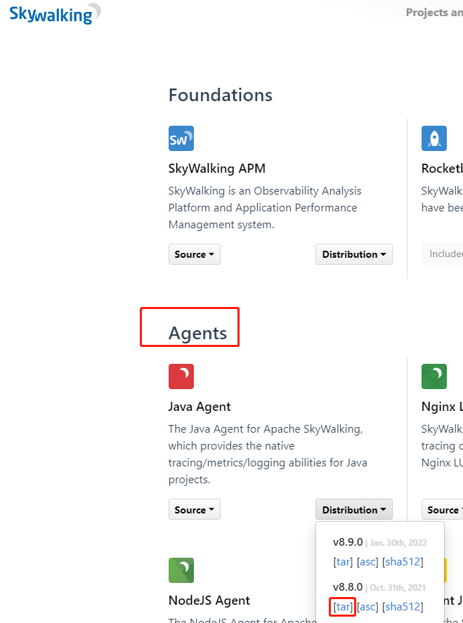 linux环境skywalking搭建及项目应用_linux 安装skywalking-CSDN博客
