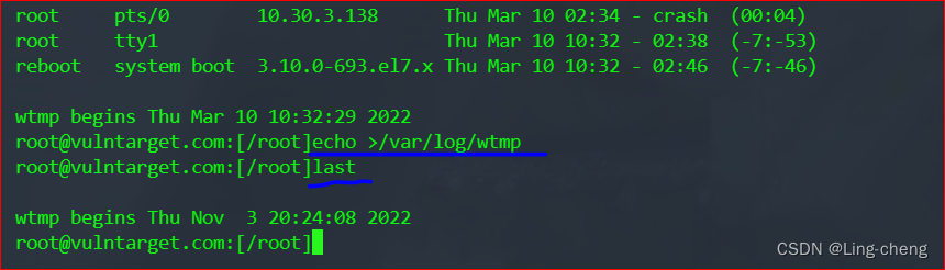Linux系统信息收集_linux信息搜集-CSDN博客