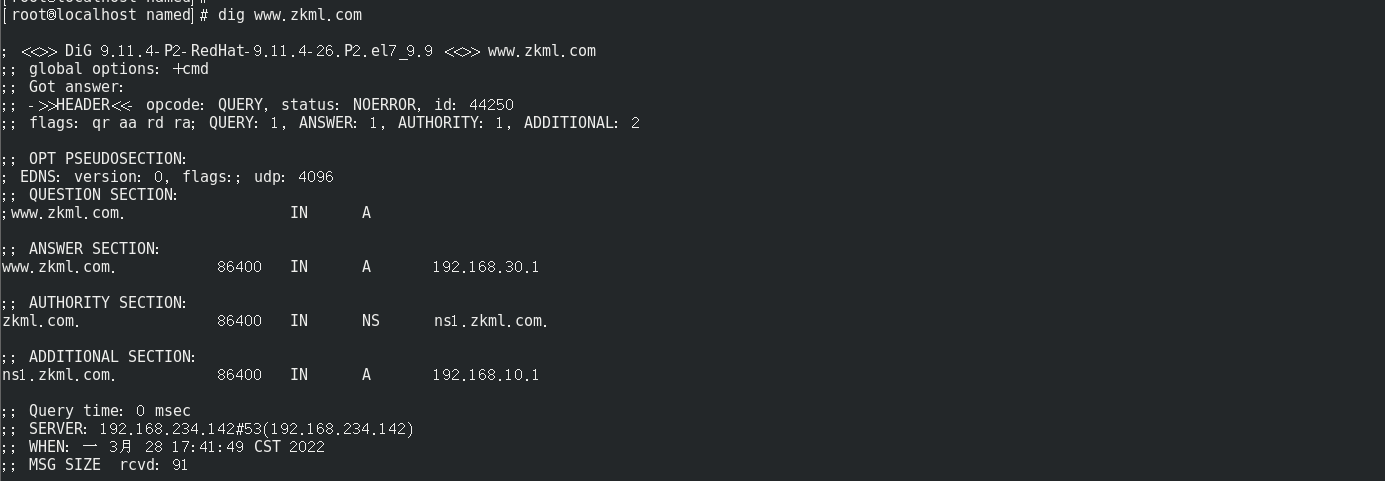 CentOS7搭建DNS服务_centos domain-CSDN博客