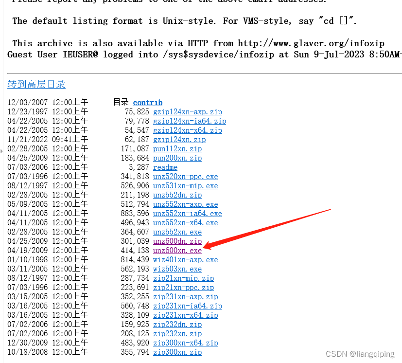 unzip解压文件中文乱码问题的解决方案 window系统下 vscode_unzip windows-CSDN博客