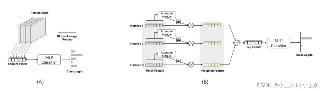 论文(四)：DTFD-MIL: Double-Tier Feature Distillation Multiple Instance Learning for Histopathology ...