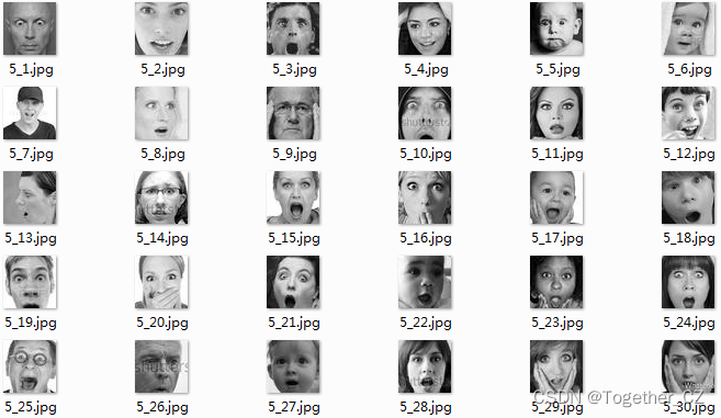 Python实现将人脸表情数据集fer2013转化为图像形式存储本地_fer2013数据的读取-CSDN博客