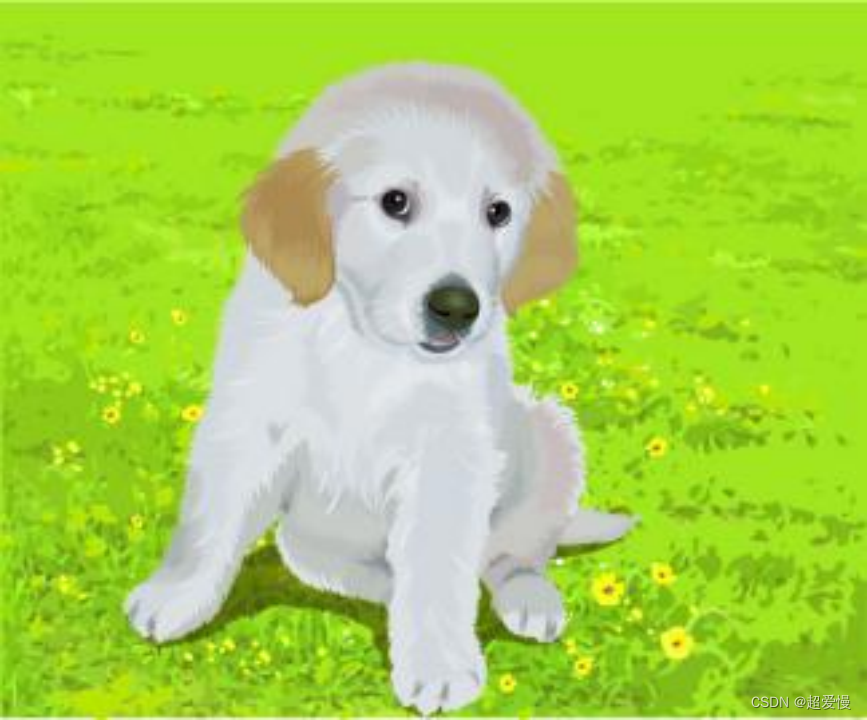 Java学习（超详细）五（类、对象、方法）java中类方法函数对象 Csdn博客