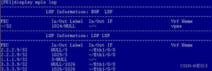 浅谈双层标签的VPN 第二篇 BGP/MPLS IP VPN的两层标签_bgp lsp和ldp lsp-CSDN博客