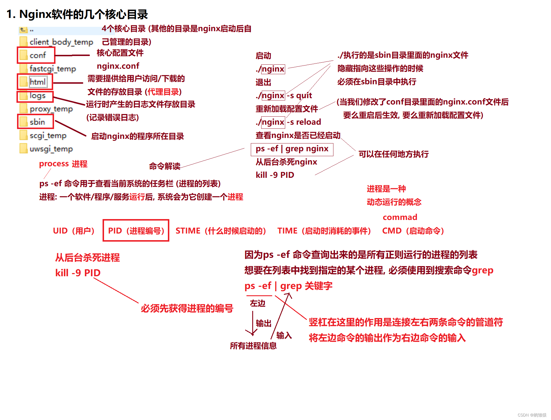 操作系统 搭建nginx文件服务器nginx文件服务器搭建 Csdn博客