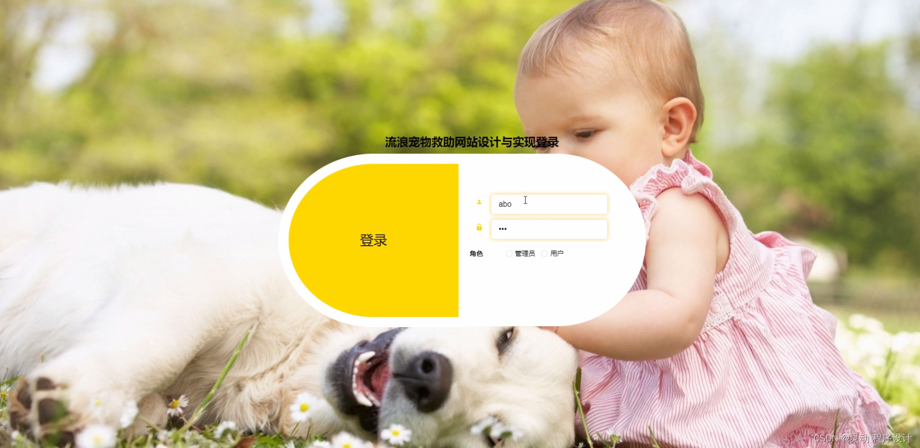 springboot/java/php/node/python流浪宠物救助网站设计与实现【计算机毕设】-CSDN博客
