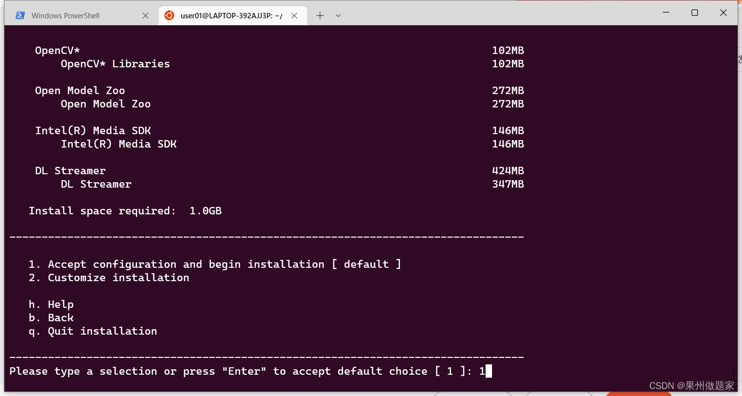 wsl安装英特尔openvino_lspci: cannot find any working access method-CSDN博客