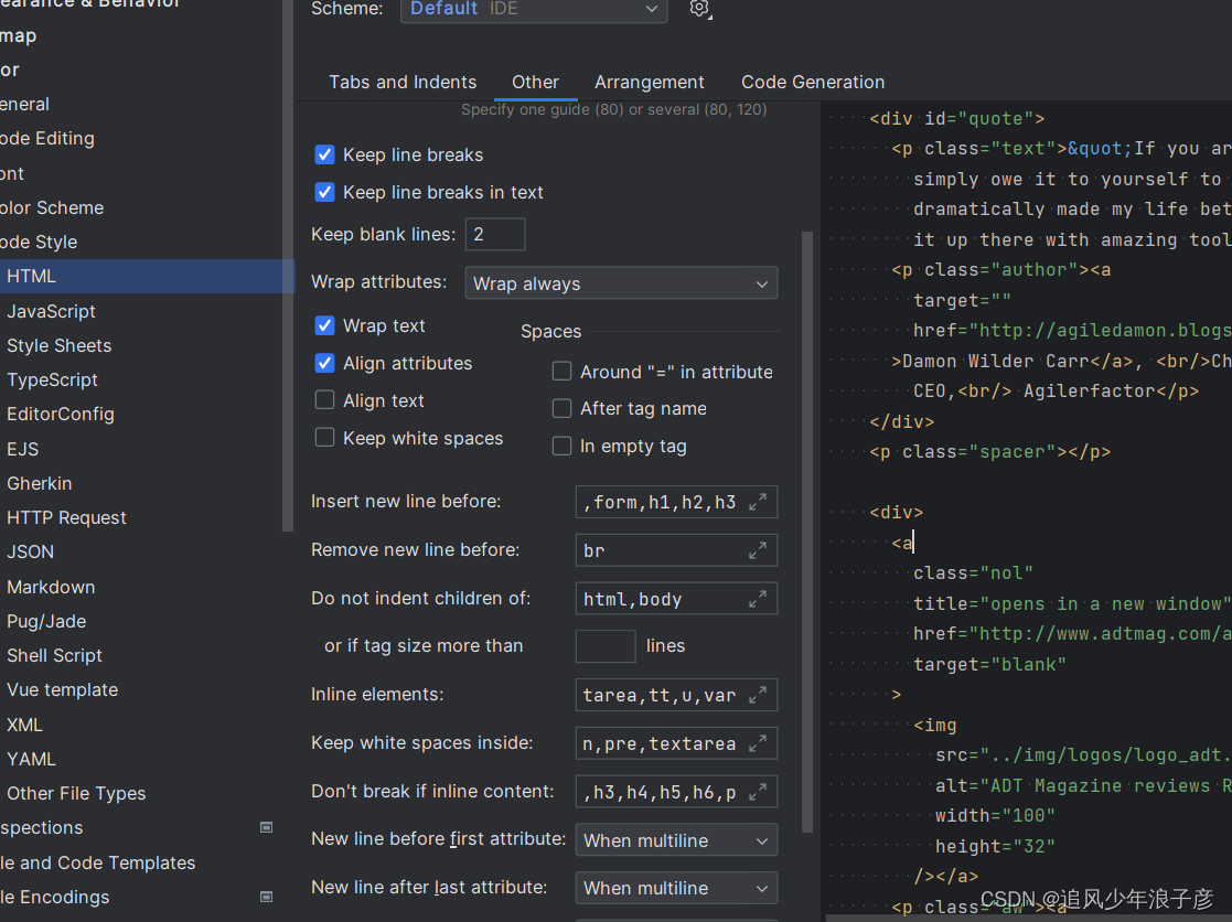 设置WebStorm编辑器格式化代码的样式_webstorm格式化代码-CSDN博客