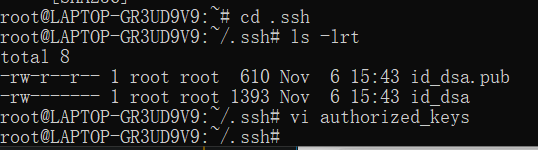 (踩坑指南)cd .ssh返回-bash: cd: .ssh:No such file or directory怎么办_ssh no such file or directory-CSDN博客