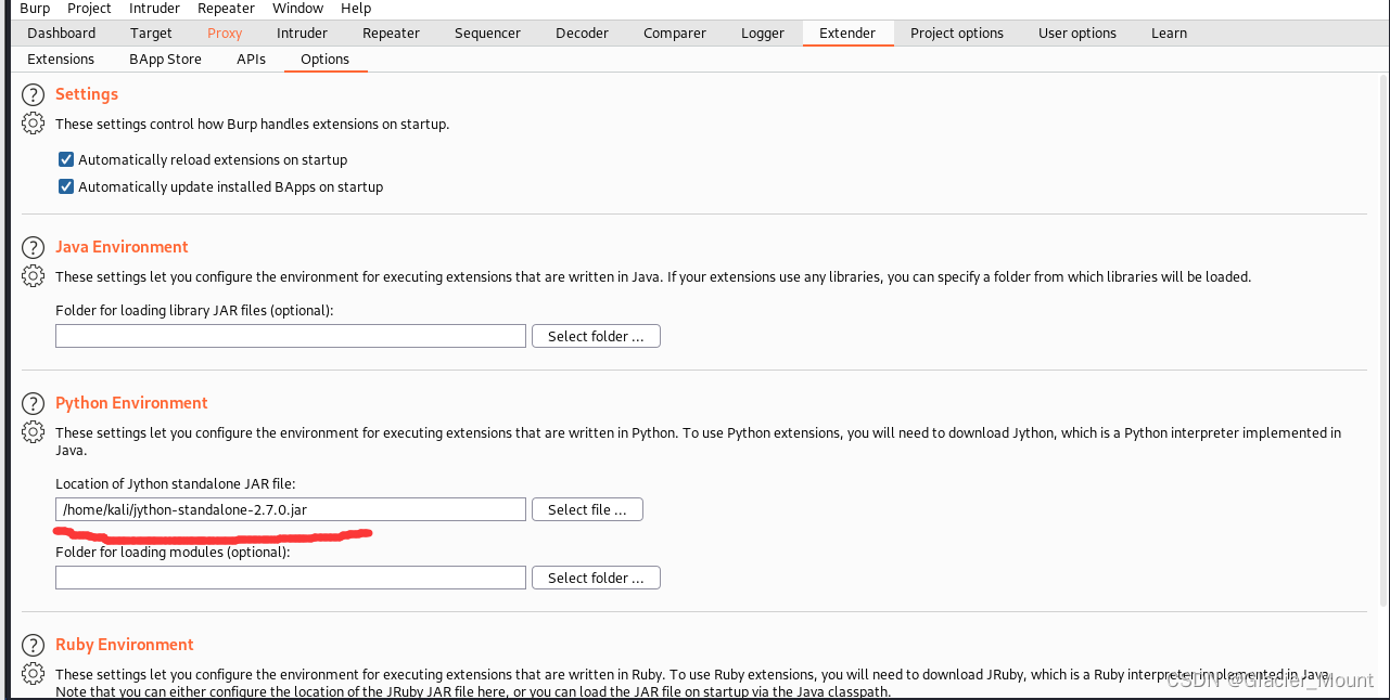 ctf (Do_you_know_http)_please use 'wllm' browser!-CSDN博客