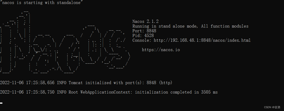 Nacos Server启动报错caused By Orgrver 
