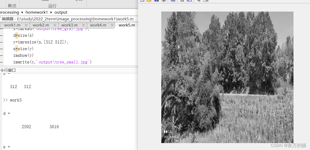 Matlab数字图像处理——图像的读写,灰度、二值图像运用 Matlab 软件读取经过预处理后的图像可以得到图像的灰度矩阵以 灰度矩阵中 Csdn博客