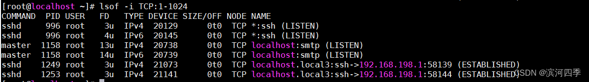 【Linux】进程管理命令（ps， lsof ，kill pkill killall，vmstat）_linux进程管理命令-CSDN博客