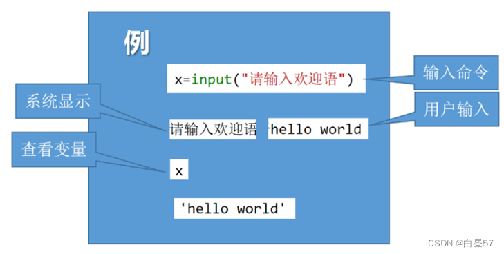 Python初探(一)编写一个程序依次输入用户的学号姓名和手机号码 Csdn博客