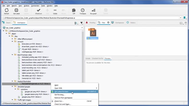 翻译P4V官方教程（4）Versioning Your Digital Assets_p4 get version-CSDN博客