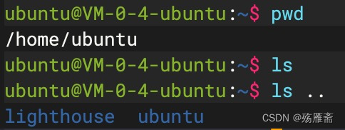 Linux 基础常见命令_ubuntu中的输出命令是什么-CSDN博客