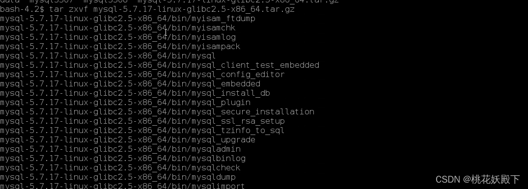 图文流程 Linux部署多个Mysql_linux mysql5.7安装两个服务-CSDN博客