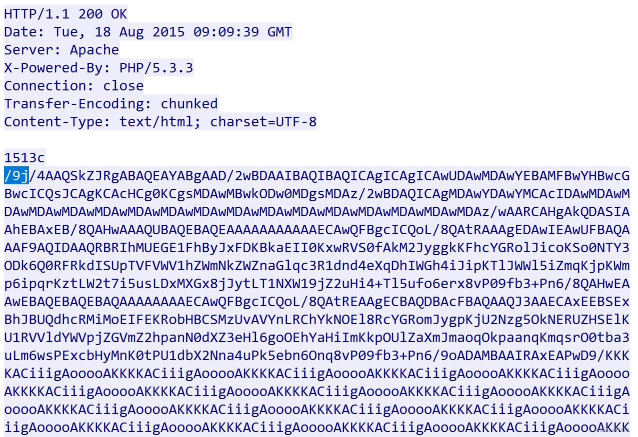 BUUCTF的wireshark流量分析题目writeup汇总_[第九章][9.3.2 webshell混淆流量分析]webshell流量分析-CSDN博客