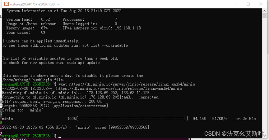 Ubuntu 20.04单机安装MinIO_ubuntu20.04安装minio-CSDN博客