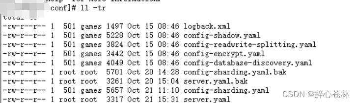 Shardingsphere Proxy 单机模式部署，实现分库分表 Shardingsphere Proxy部署 Csdn博客