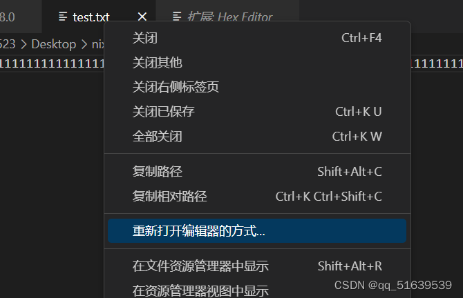 如何使用visual sutudio code查看并且修改二进制文件_vscode二进制文件怎么打开-CSDN博客