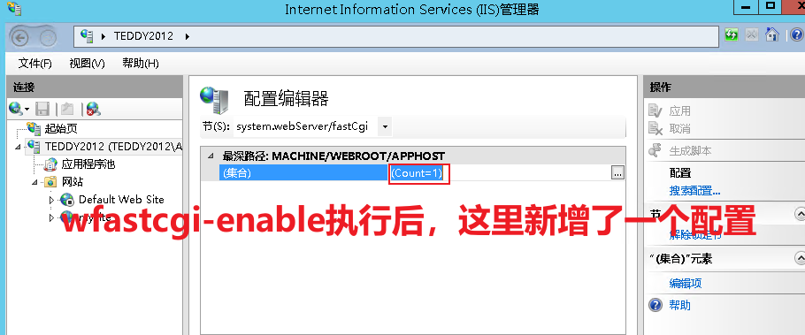 IIS上添加处理程序映射wfastcgi_iis处理程序映射设置-CSDN博客