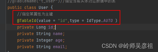 Mybatisplusmybatisplus指定字段名 Csdn博客 