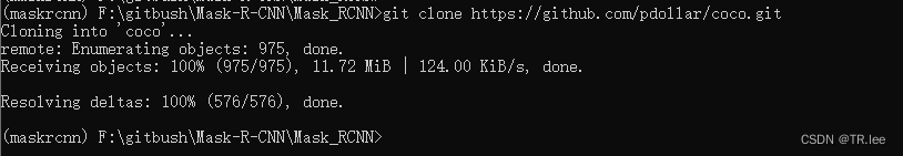 Mask-R-CNN安装（一）_maskrcnn环境搭建_TR.lee的博客-CSDN博客
