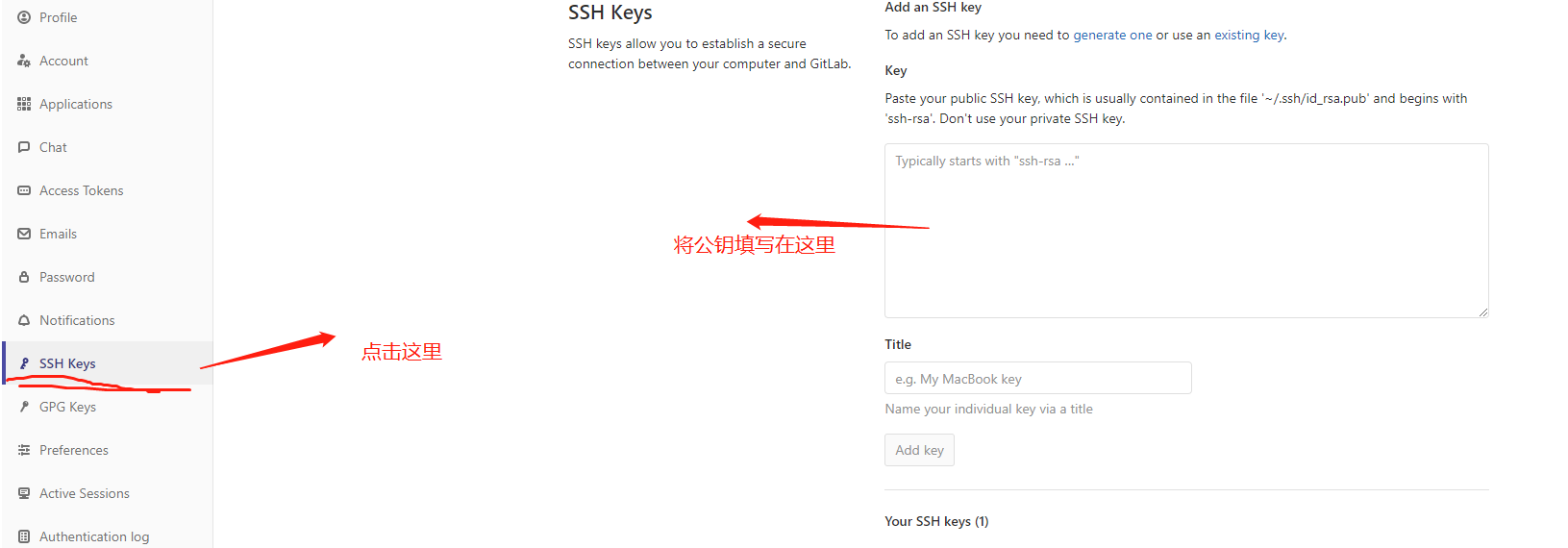 如何使用sourcetree+gitlab拉取项目代码_sourcetree拉取gitlab代码-CSDN博客