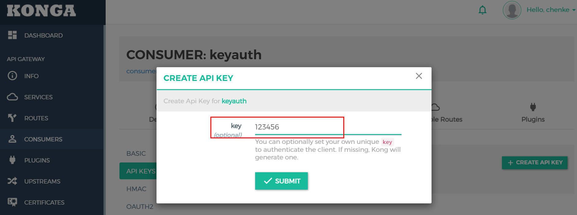 网关kong及konga的API认证_kong 网关认证方式-CSDN博客