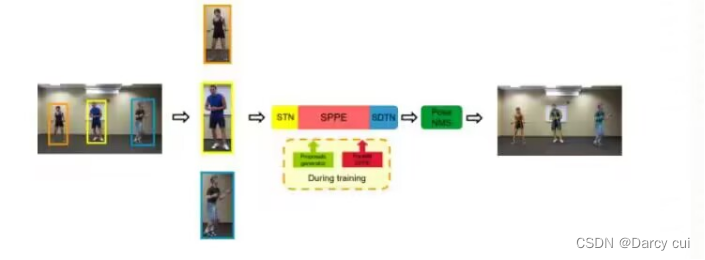 Alphapose算法-CSDN博客