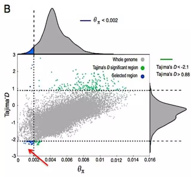 群体遗传学-选择消除分析_hs6605015的博客-CSDN博客