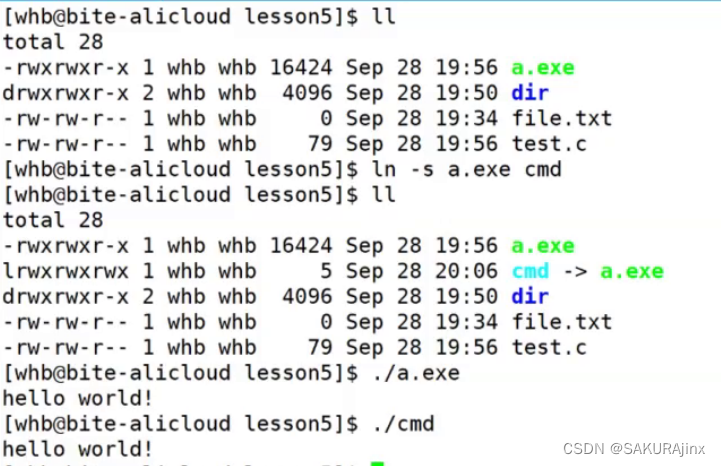Linux权限_chown 777-CSDN博客