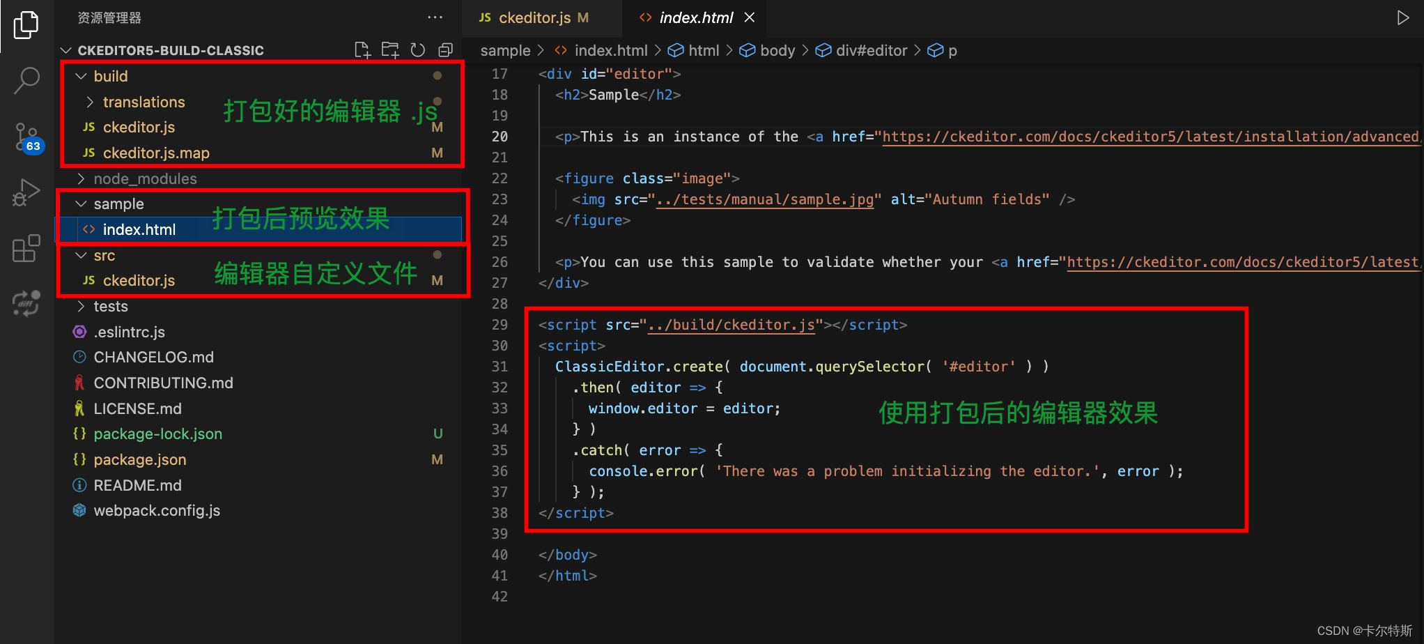 Vue CKEditor5 自定义编辑器详细流程（插件安装使用流程）_vue3 ckeditor5自定义插件封装-CSDN博客