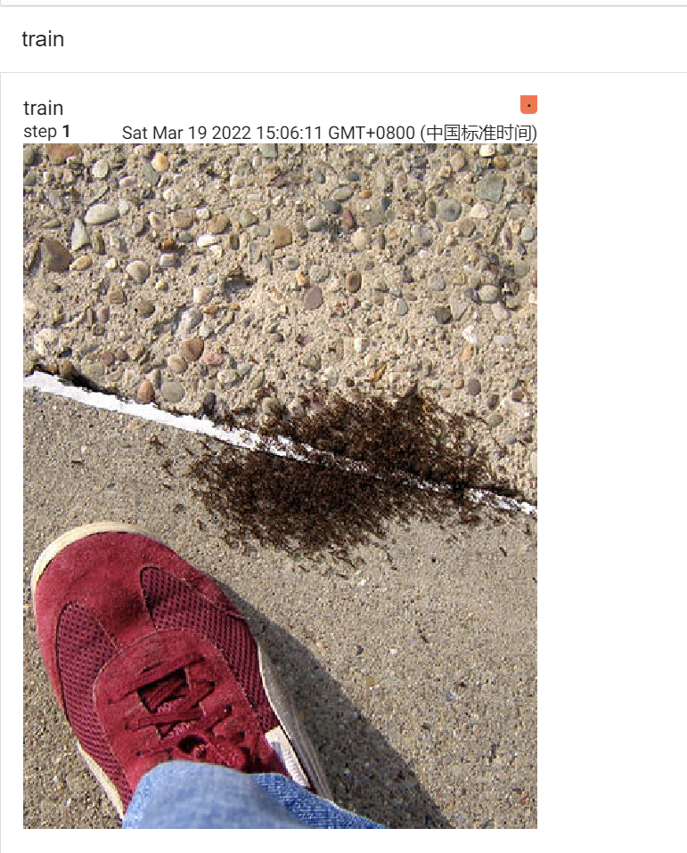 利用tensorboard来展示图片的逐步展示_tensorboard查看batch图片如何按一步步查看-CSDN博客