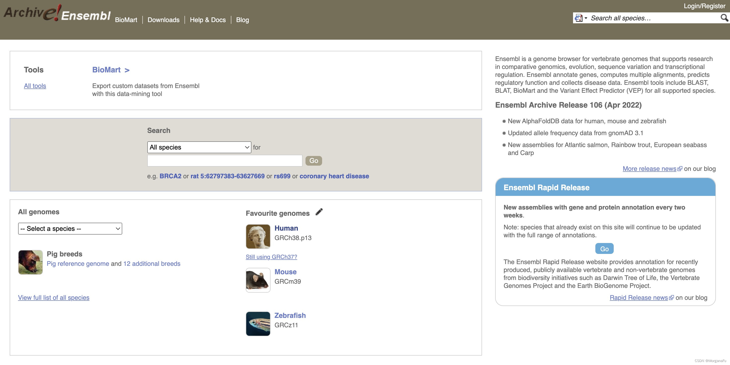 How to choose genome reference and corresponding .gtf file-CSDN博客