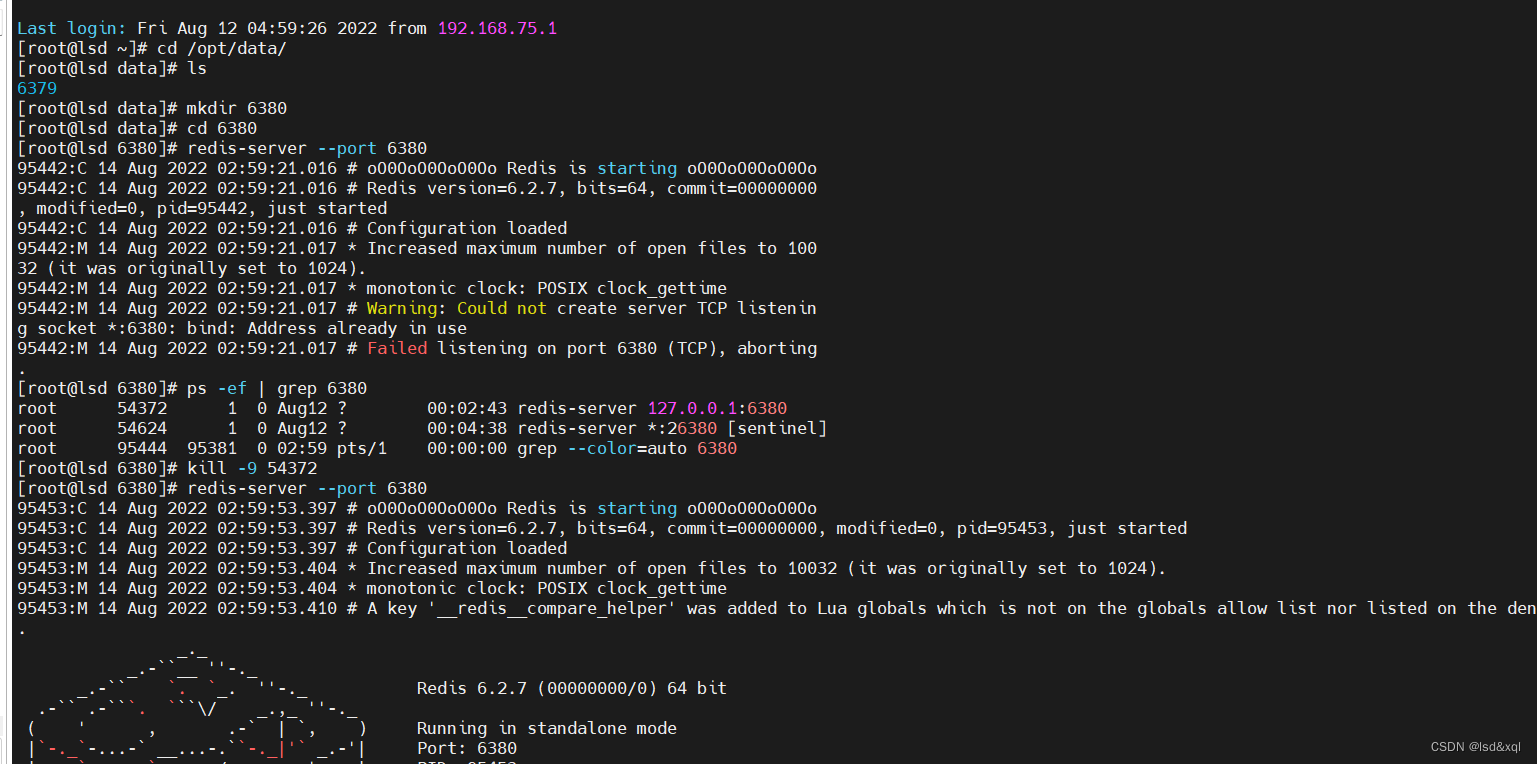 redis学习七redis的集群：主从复制、CAP、PAXOS、Cluster分片集群（二）_redis cap-CSDN博客