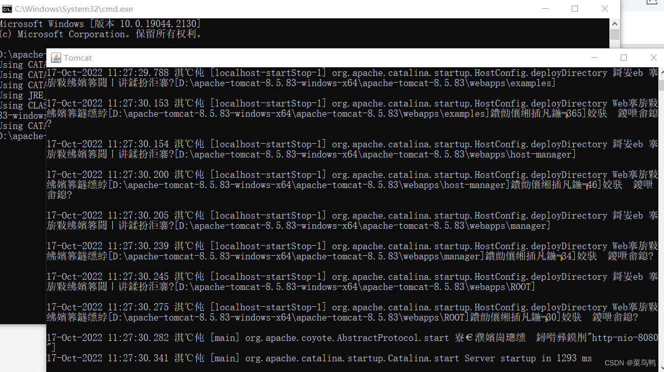 tomcat安装详细图文_tomcat8.5.83-CSDN博客