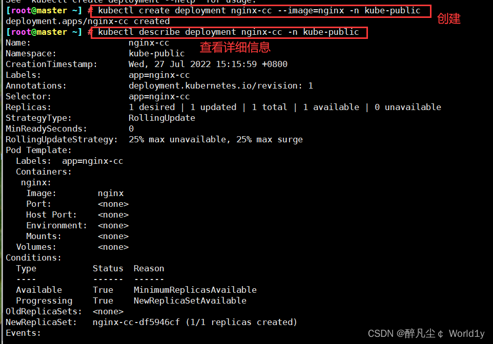K8S 中 kubectl 命令_kubectl exec -it-CSDN博客