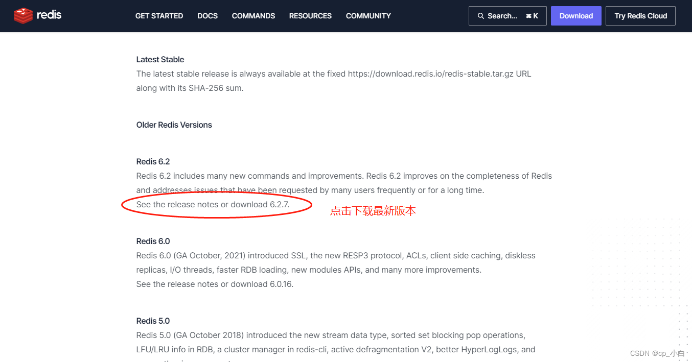 Linux系统安装redislinux安装redis Csdn博客