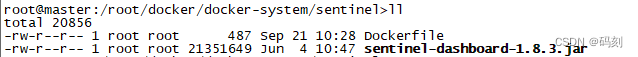 Docker运行sentinel、docker打包sentinel 镜像、控制台环境搭建及使用介绍 Docker Sentinel Csdn博客