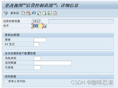 【SAP FICO】1_后台配置_电脑怎么录入sap后台_咖啡忍者的博客-CSDN博客