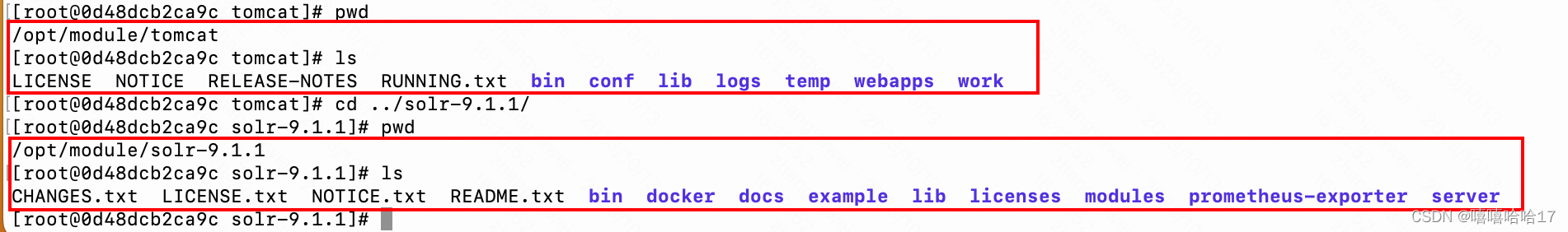 docker配置solr_docke修改solr端口-CSDN博客