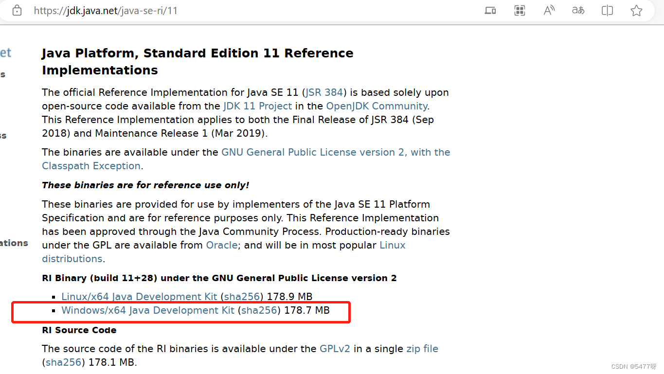 Unable to create the server: Extension backend error - there are no rsp providers currently ...