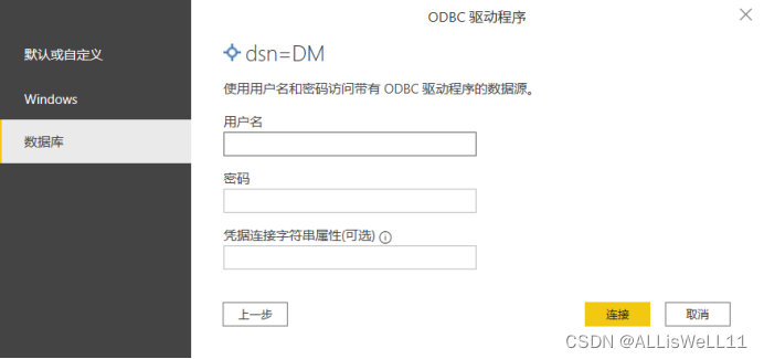 POWERBI 连接 DM ODBC_power bi odbc驱动放在哪个位置-CSDN博客