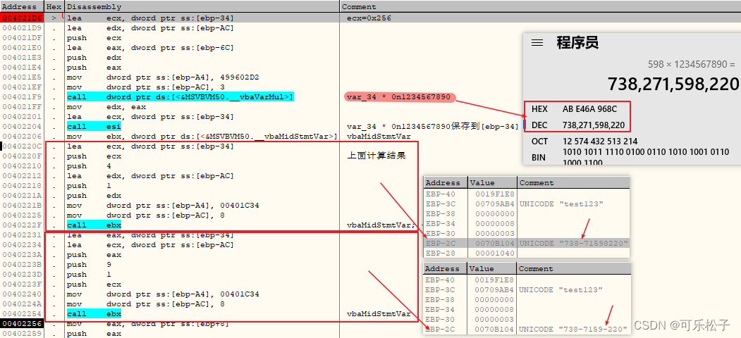 CrackMe009：VB Decompiler第一次登场-CSDN博客