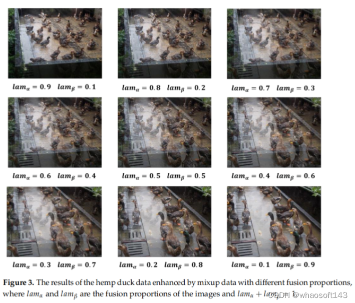 Yolo7~农业方向_yolov7检测玉米-CSDN博客